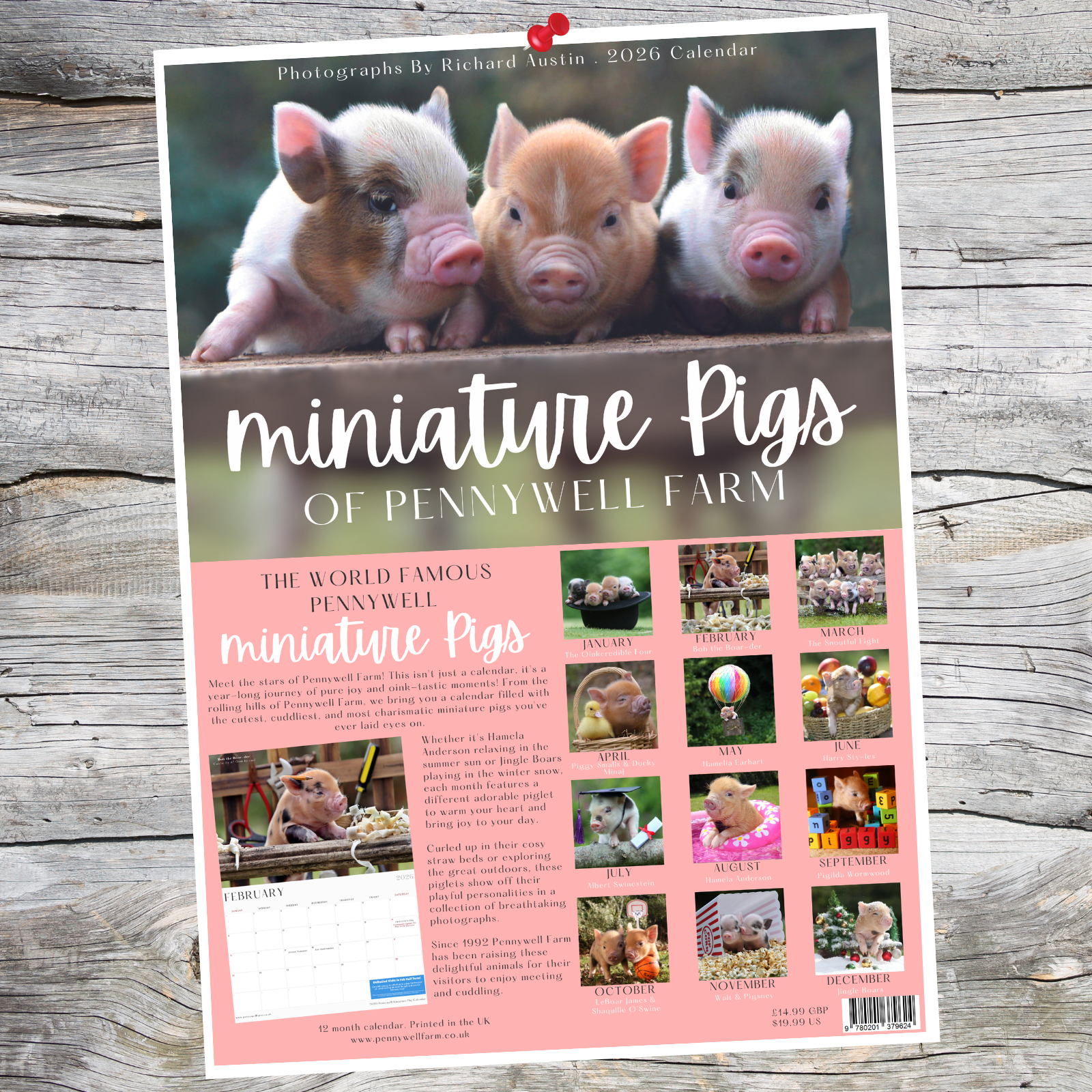 Pennywell Miniature Pig 2026 Calendar – Pennywell Farm