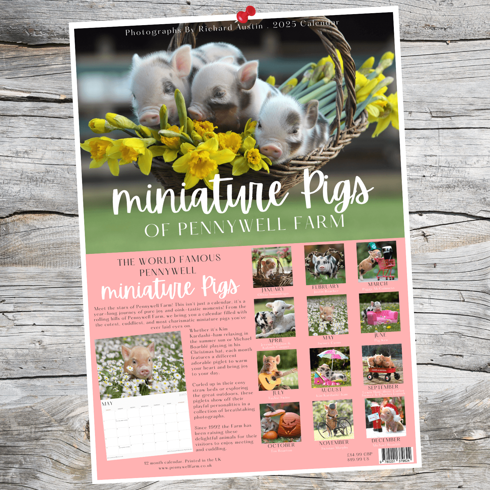 Pennywell Piggy Calender – Pennywell Farm